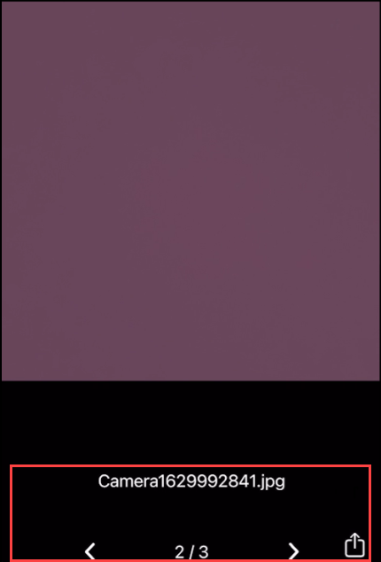 Руководство пользователя клиента Softline Drive CentreStack iOS